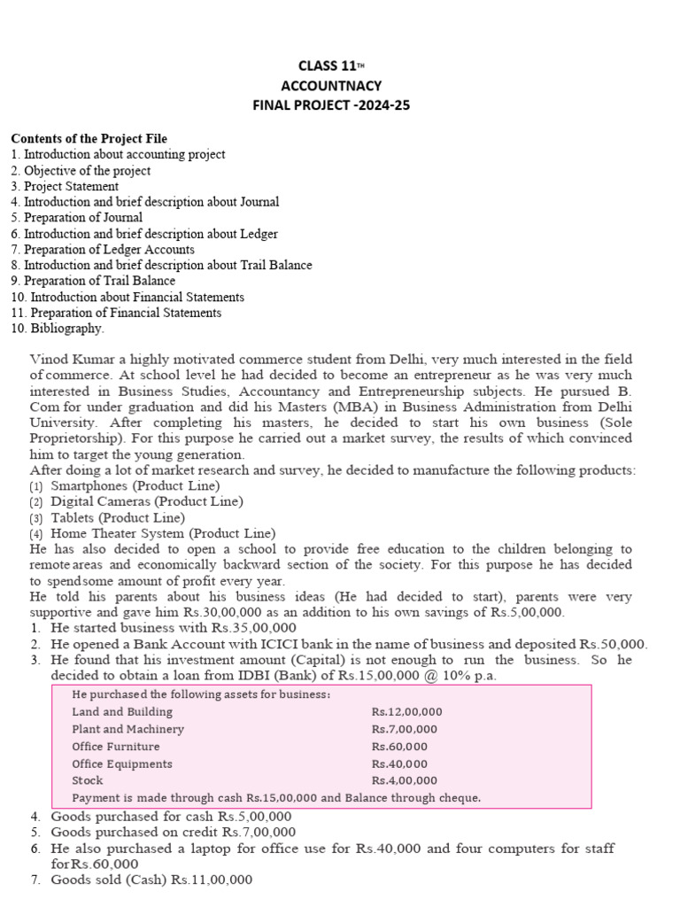 Class 11 Accountancy Project 2024-25 | PDF | Expense | Banks