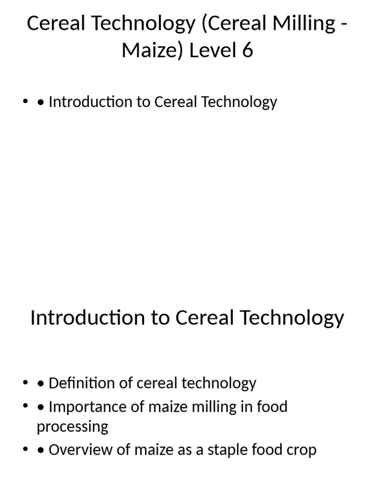 Maize Milling Process Overview | PDF | Maize | Flour
