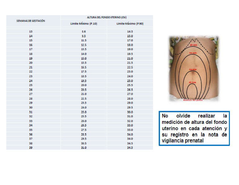 Altura de Fondo Uterino Valores Normales | PDF
