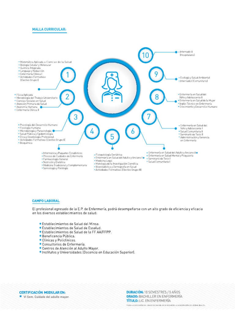5 Malla Curricular Enfermeria | PDF