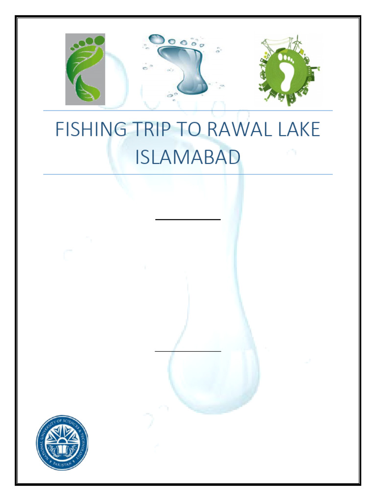 Assignment 3 Of Group 2 Pdf Carbon Footprint Environment