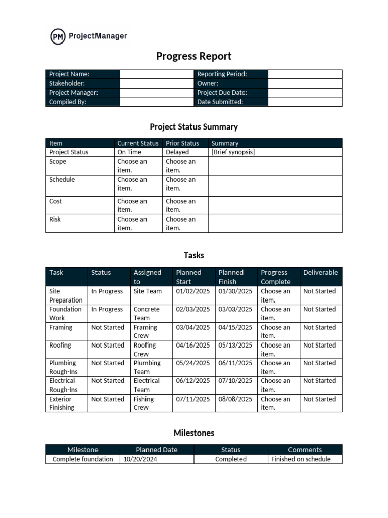 Progress Report Template ProjectManager WLNK-2 | PDF