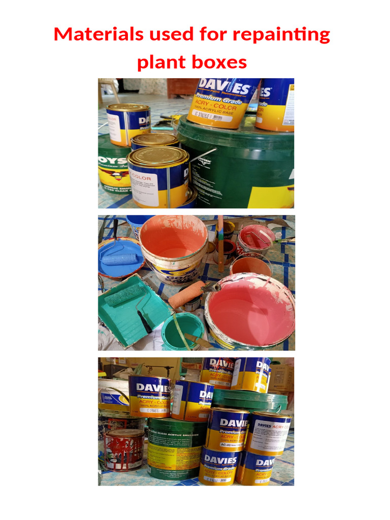 Pictorial Report | PDF