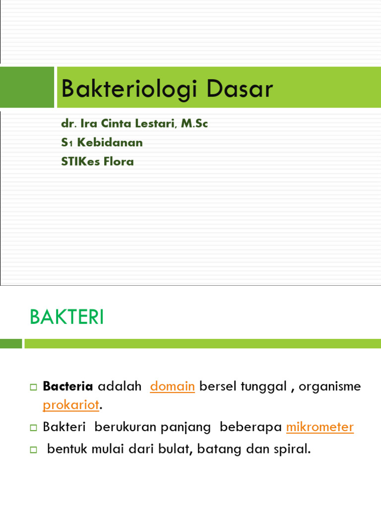 Bakteriologi Dasar | PDF