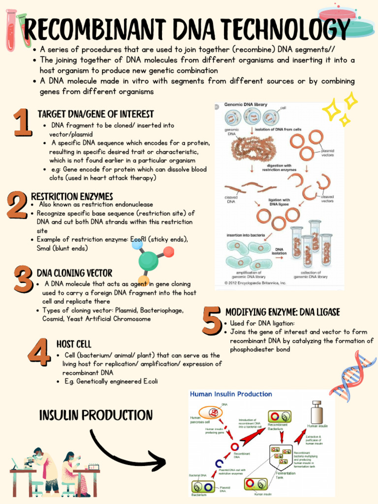 Recombinant DNA Technology .pdf | PDF