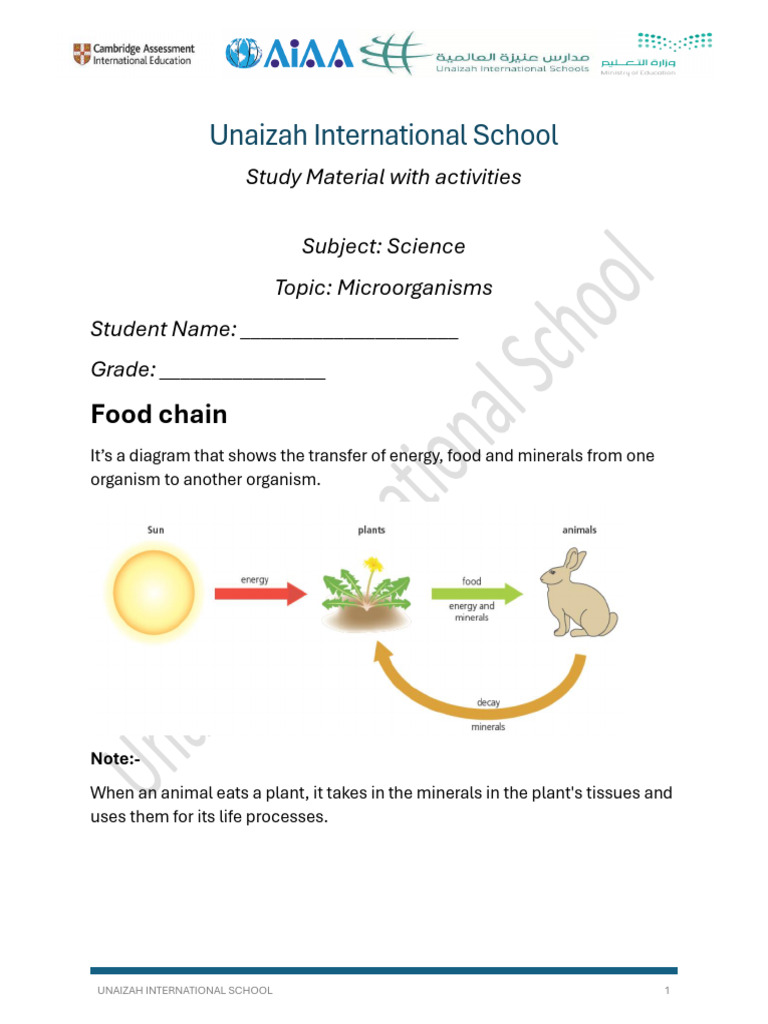 Chap 4 Microorganism Study Material | PDF | Bacteria | Fungus