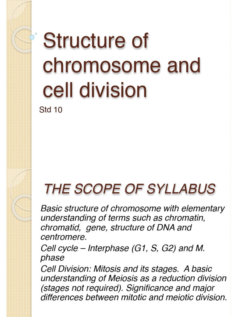 Structure of Chromosome & Cell division | PDF | Meiosis | Mitosis