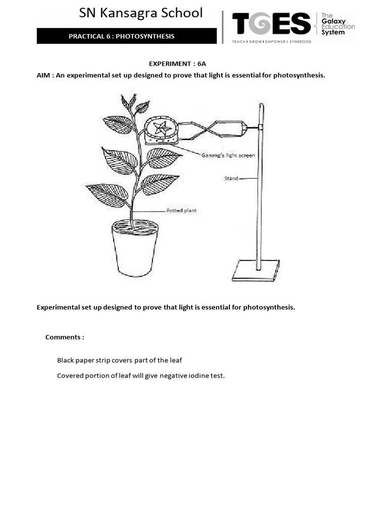 Photosynthesis Experiments Guide | PDF