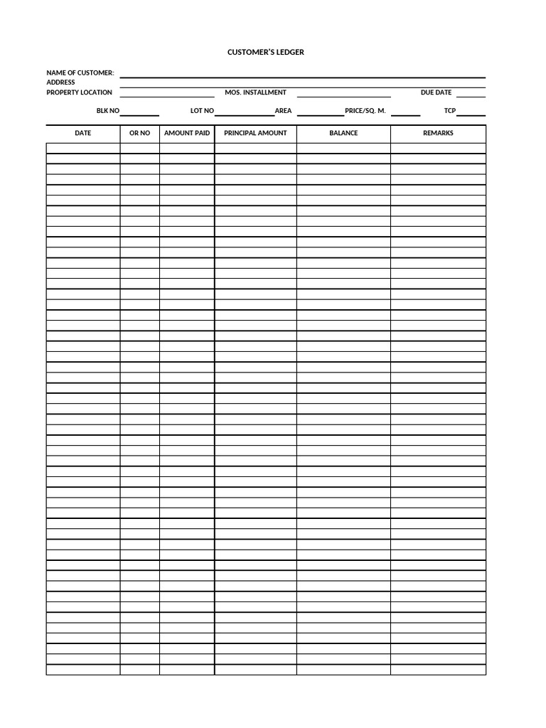 Customer Ledger | PDF