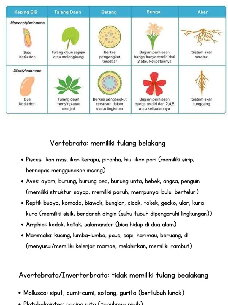 Pengelompokan Hewan Dan Tumbuhan | PDF