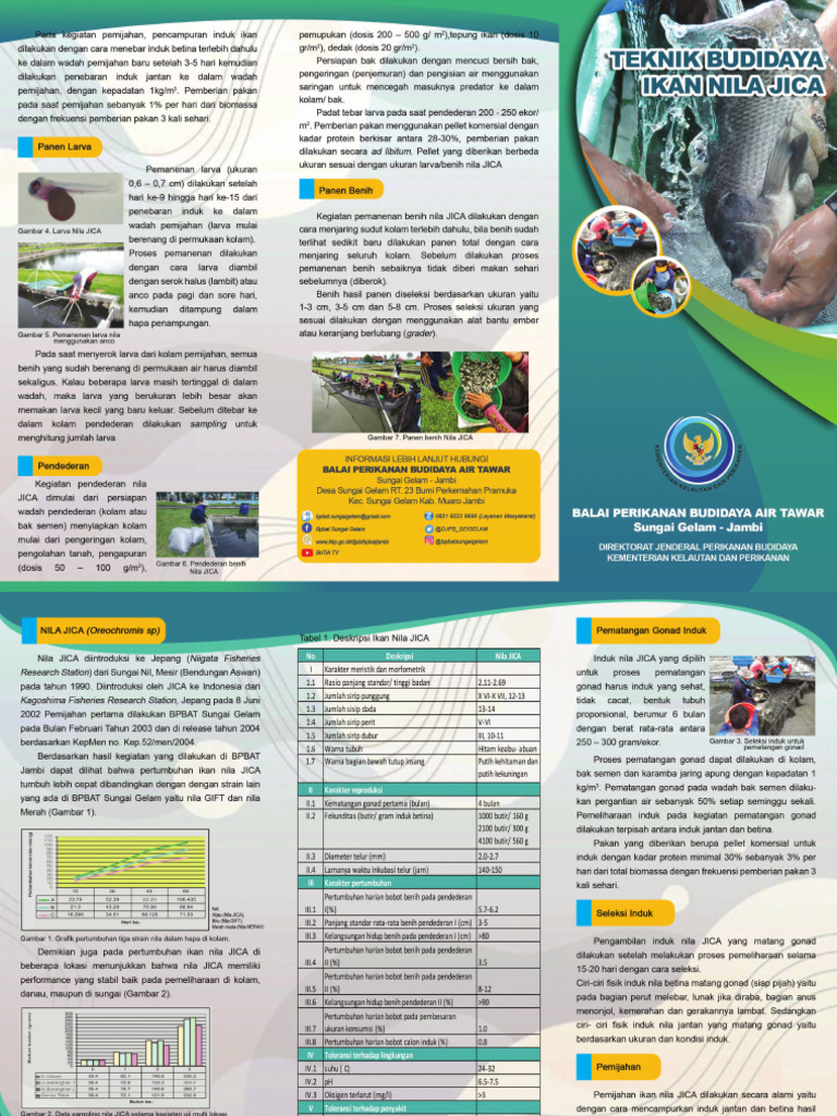 TEKNIK BUDIDAYA IKAN NILA JICA | PDF