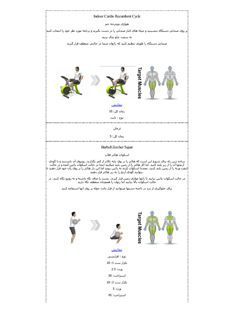 Indoor Cardio Recumbent Cycle | PDF
