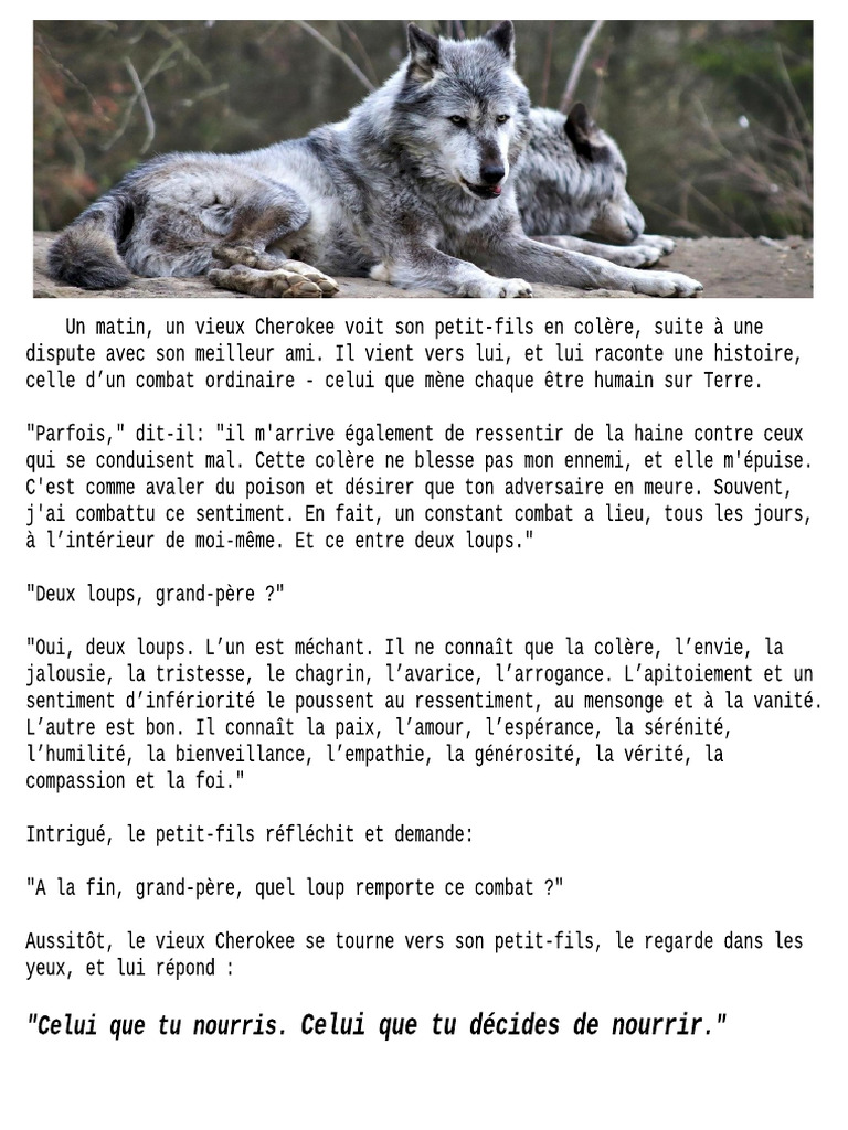 Légende Des Deux Loups-2 | PDF
