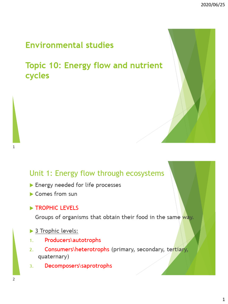 Gr10 Topic 10 - Energy Flow & Nutrient Cycles CC | PDF | Food Web | Nitrate