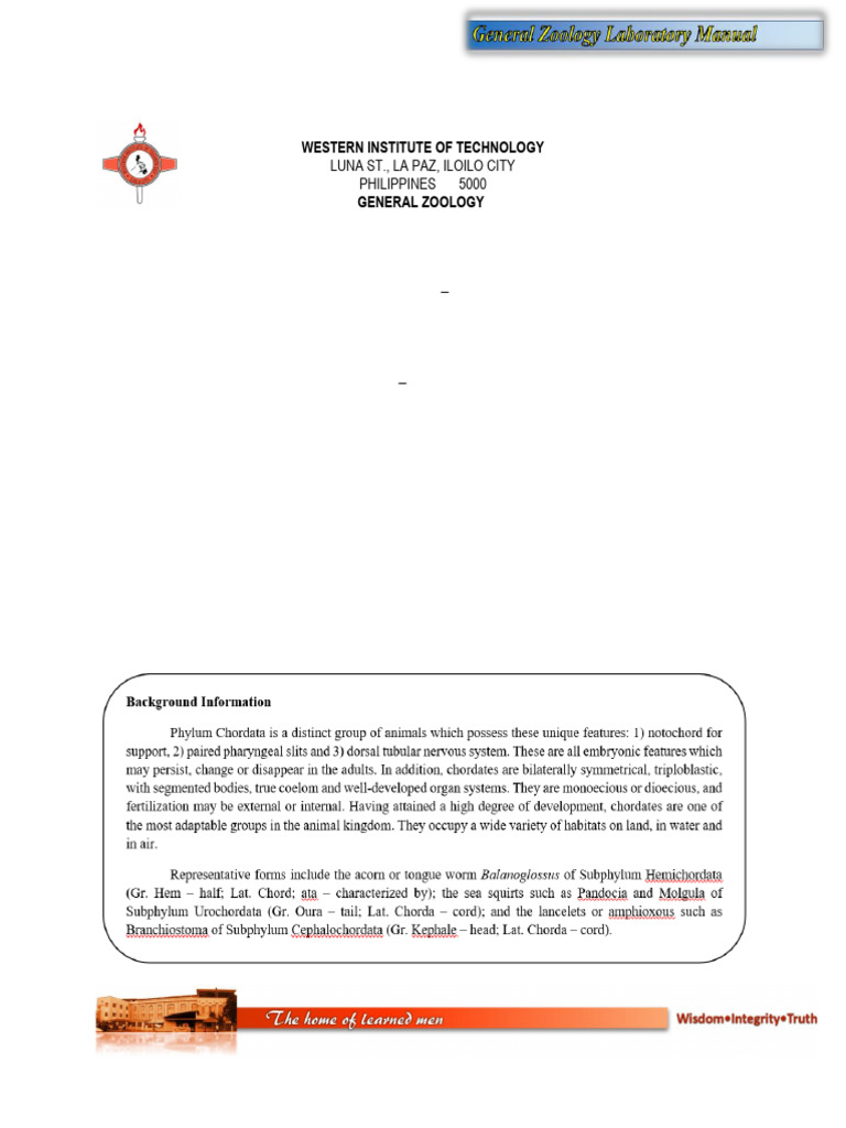 Lab Activity 12 (Part1) - Chordata - Invertebrates | PDF | Invertebrate ...