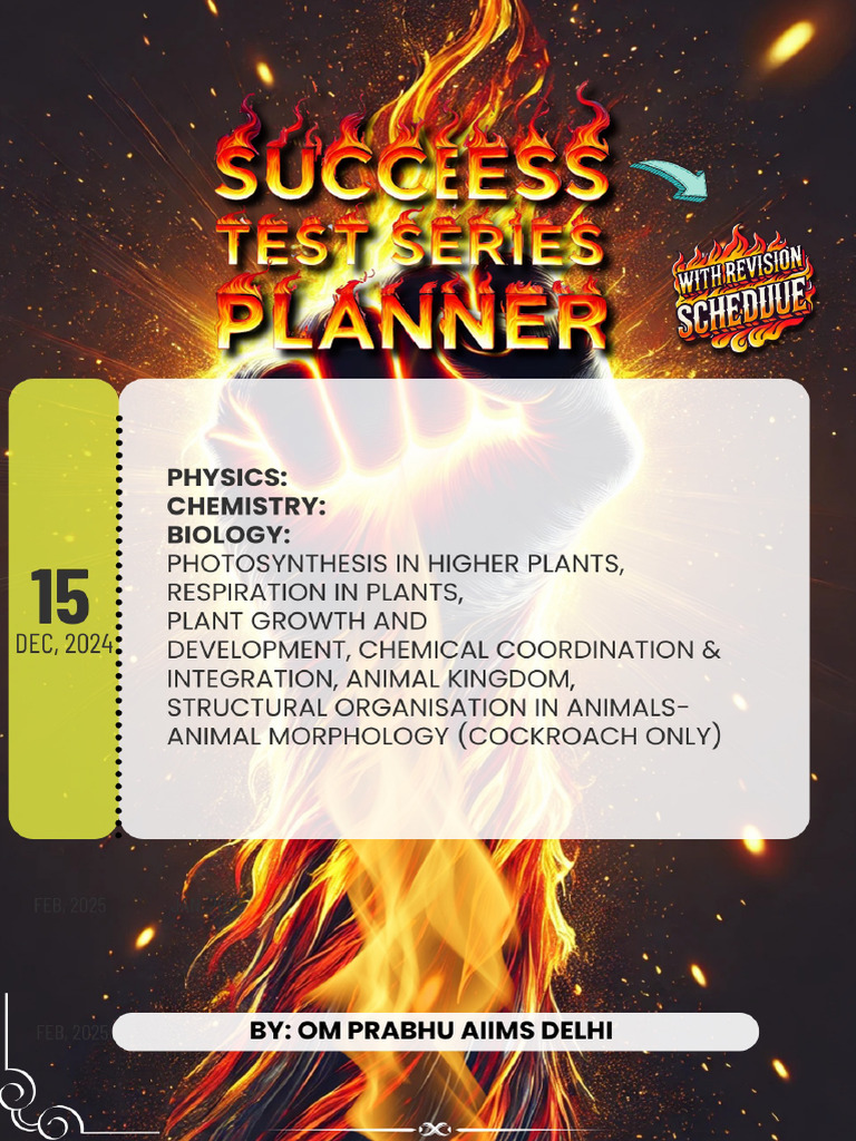 SUCCESS TEST SERIES - 15TH December PAPER | PDF