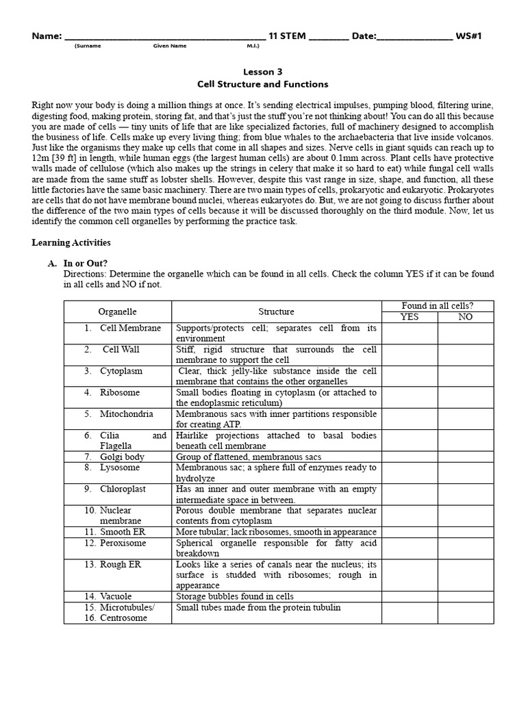 Cell Structure and Functions Overview | PDF | Cell (Biology ...