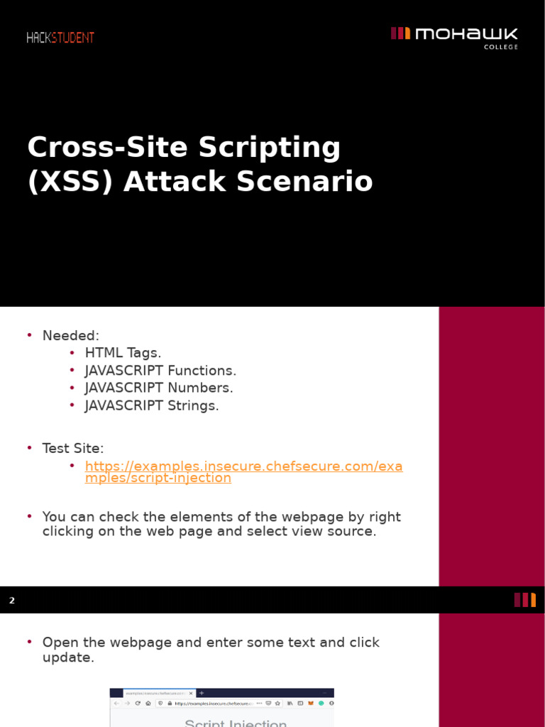 XSS Attack Simulation Guide | PDF