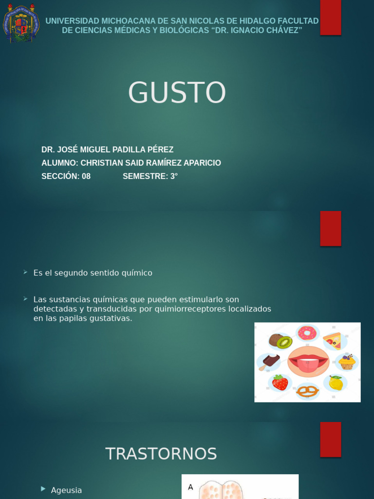 Anatomía y Fisiología del Gusto | PDF | Gusto | Sistema nervioso