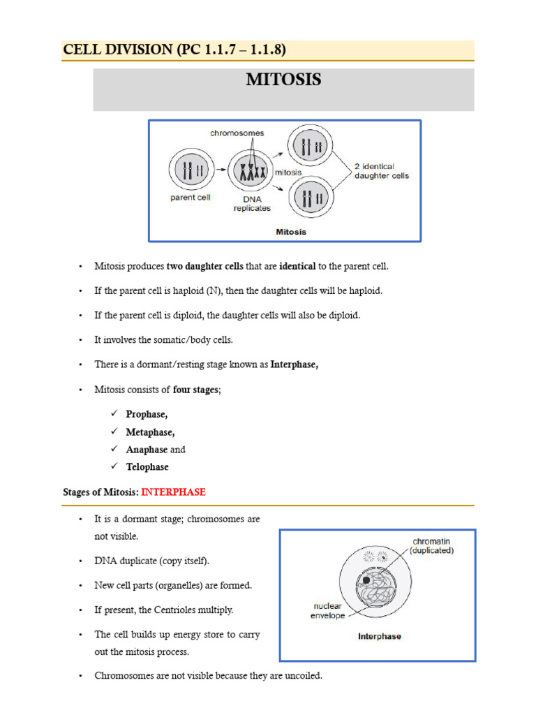 Cell Division - Cell Division - 1 | PDF | Meiosis | Mitosis