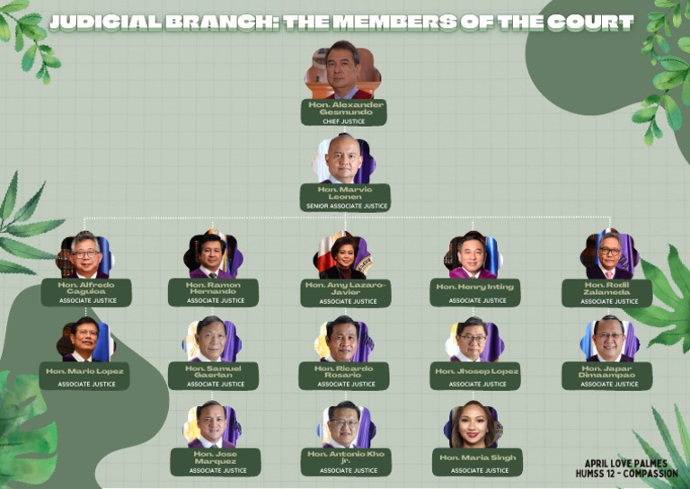 Judicial Branch | PDF