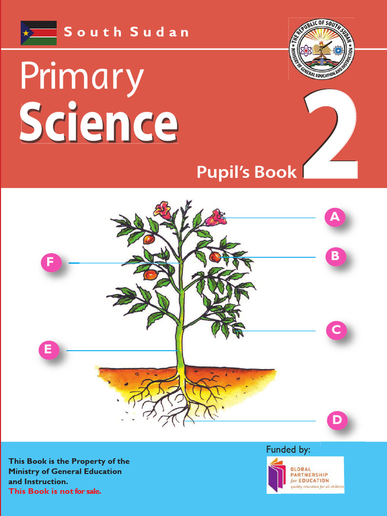 Primary Science 2 PB Textbook | PDF | Hand Washing