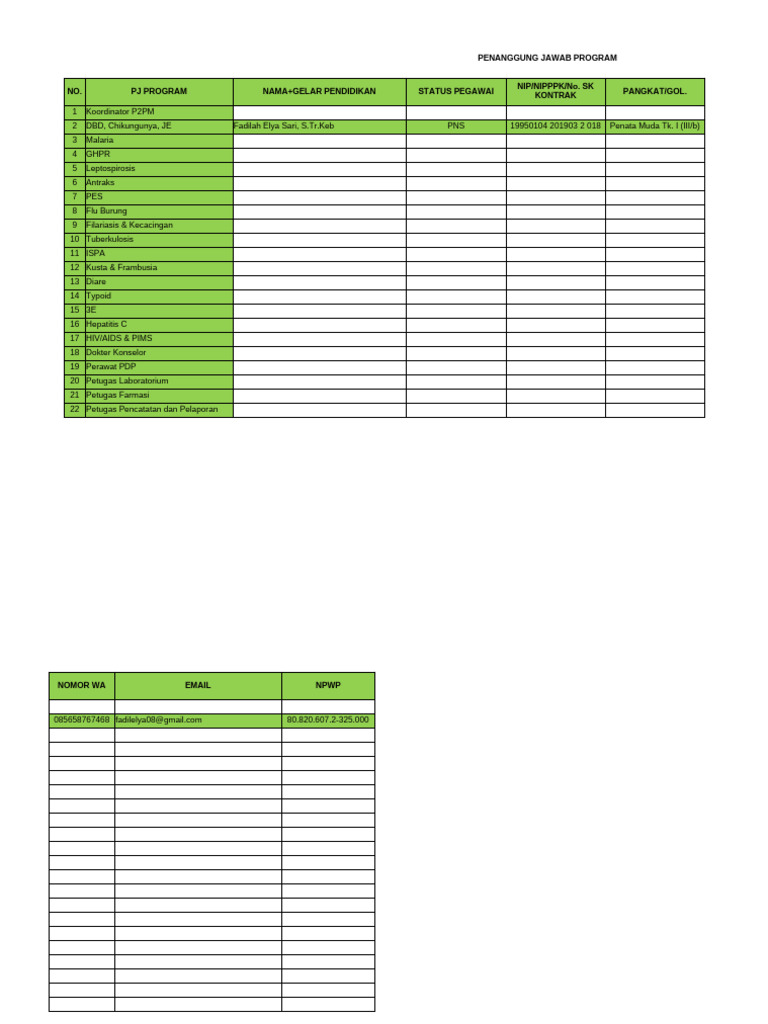 DATA PJ PROGRAM P2PM 2025 YANG GANTI Salinan | PDF