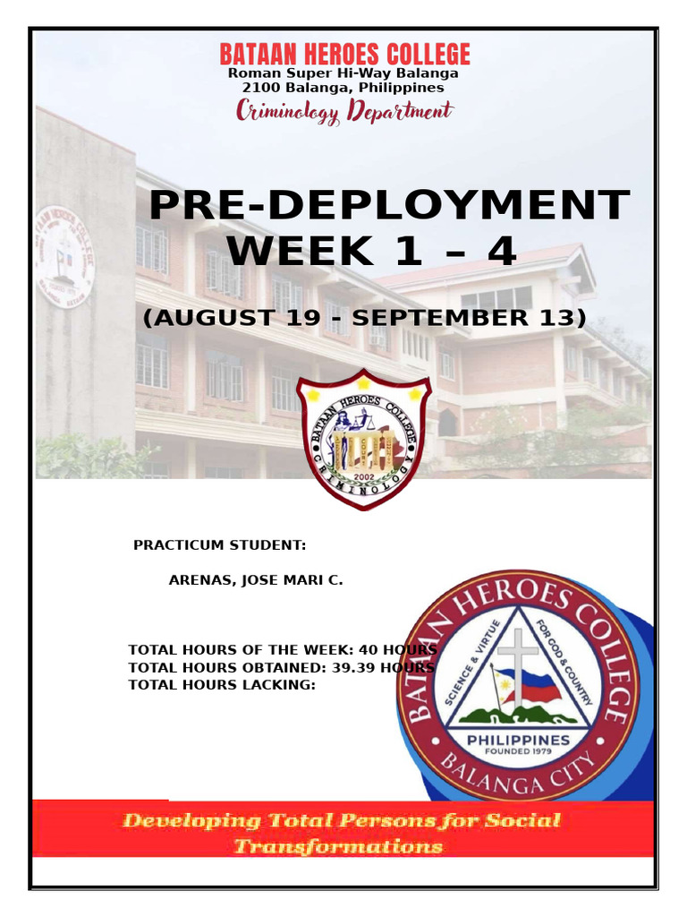 Practicum Hours Report: Jose Mari Arenas | PDF