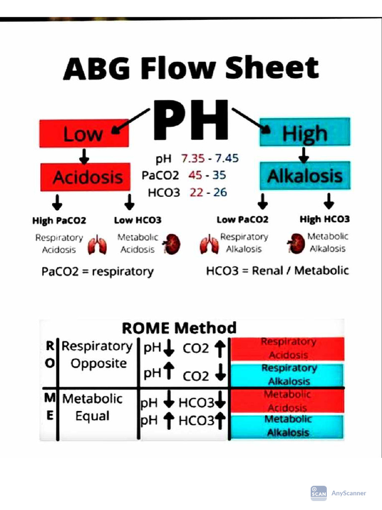 Abg Flow Chart | PDF