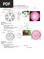 Practical Key-2024 Botany Full | PDF | Plant Stem | Vector (Molecular Biology)