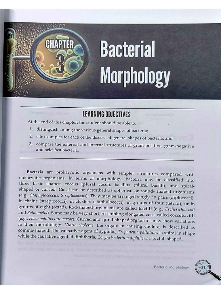 Chapter3 Bacterial Morphology | PDF
