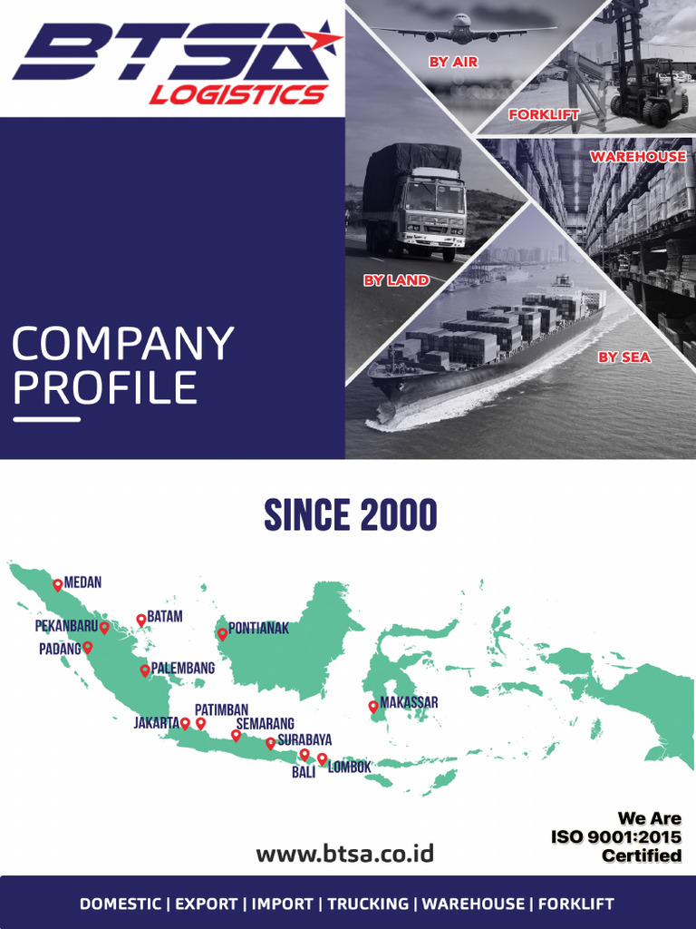 Company Profile BTSA IND 2023 | PDF