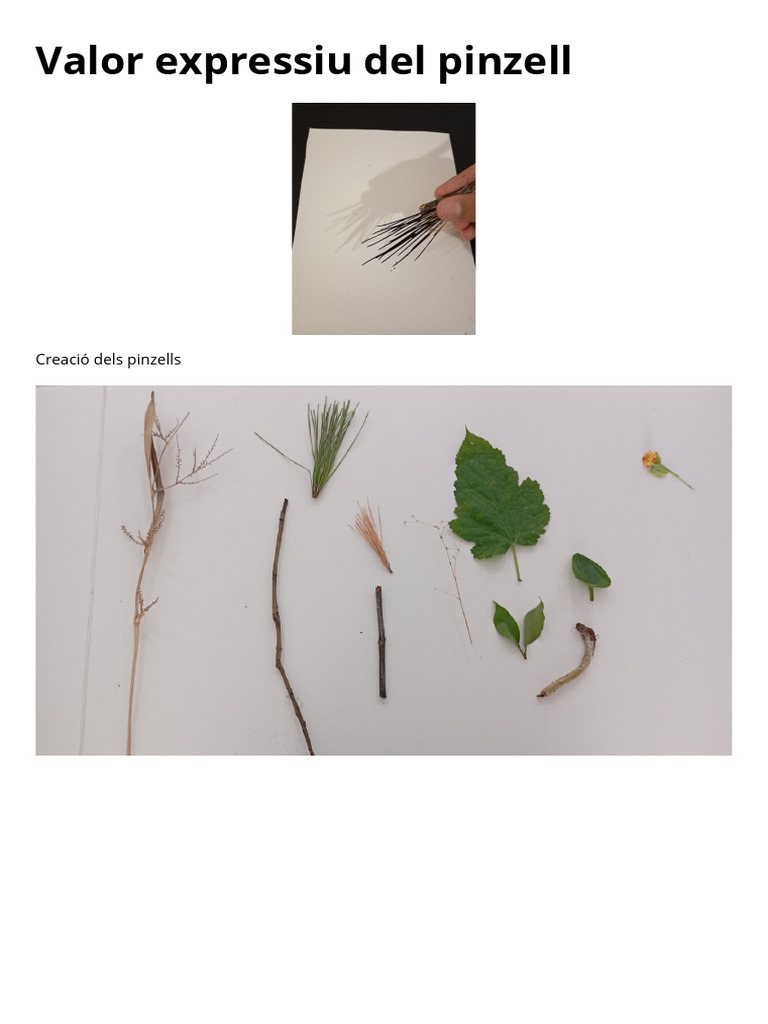 Valor Expressiu Del Pinzell 20241029 202318 0000 | PDF