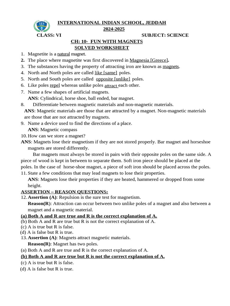 Class VI Science: Fun with Magnets Worksheet | PDF