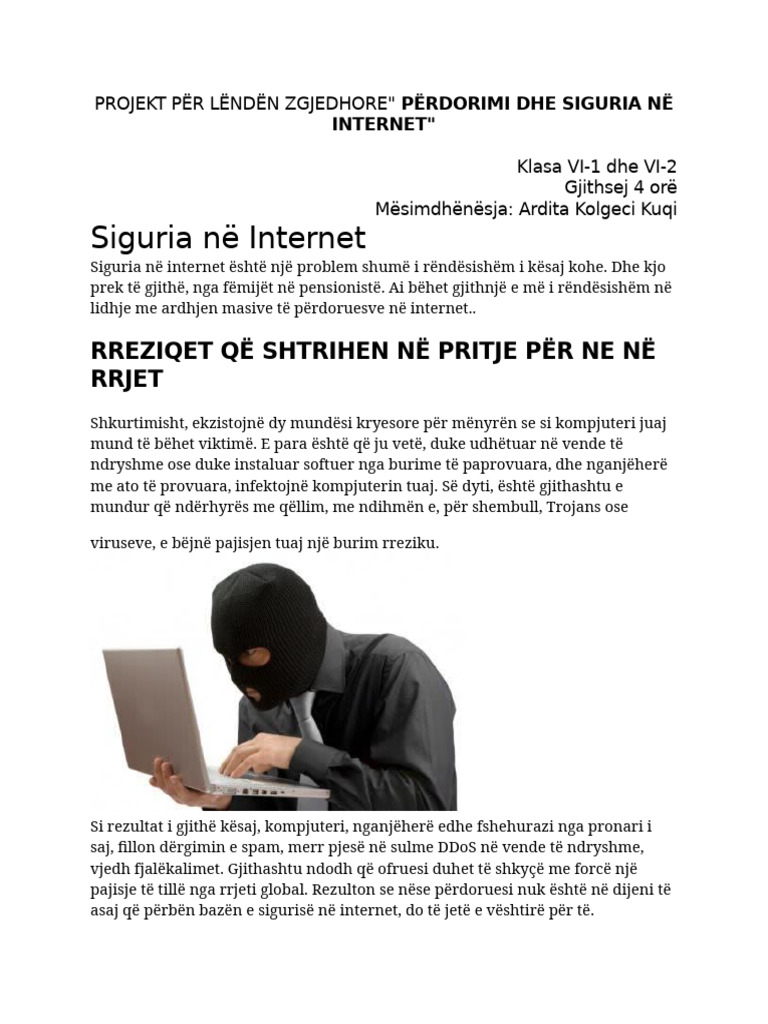 Siguria Ne Internet | PDF