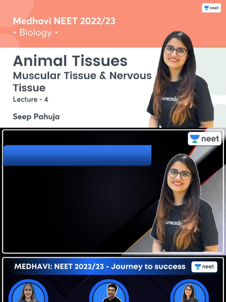 Overview of Muscle and Neural Tissues | PDF | Muscle | Skeletal Muscle