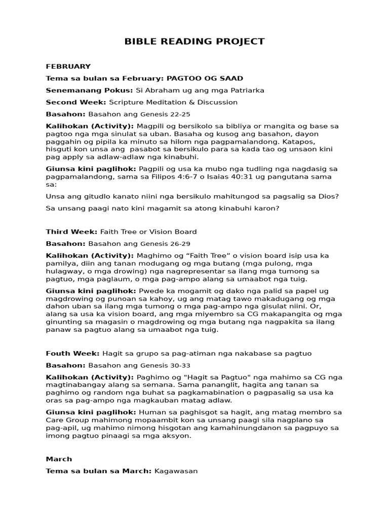 Bible Reading Project | PDF