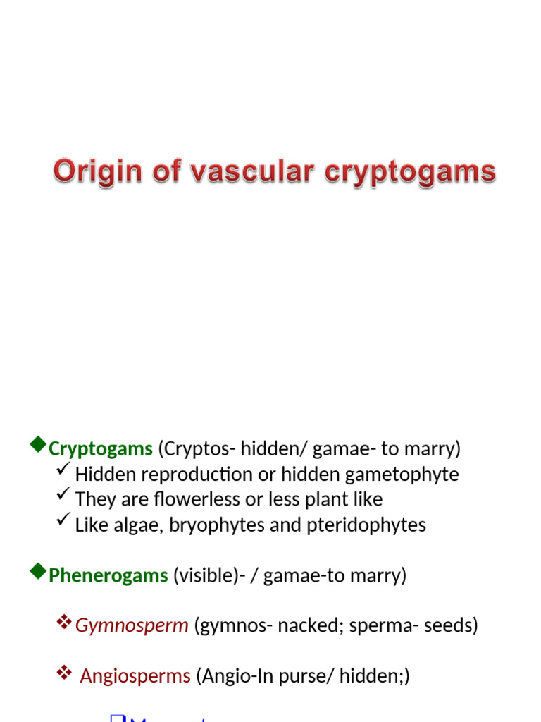 Origin of Vascular Cryptogams | PDF | Plants | Organisms