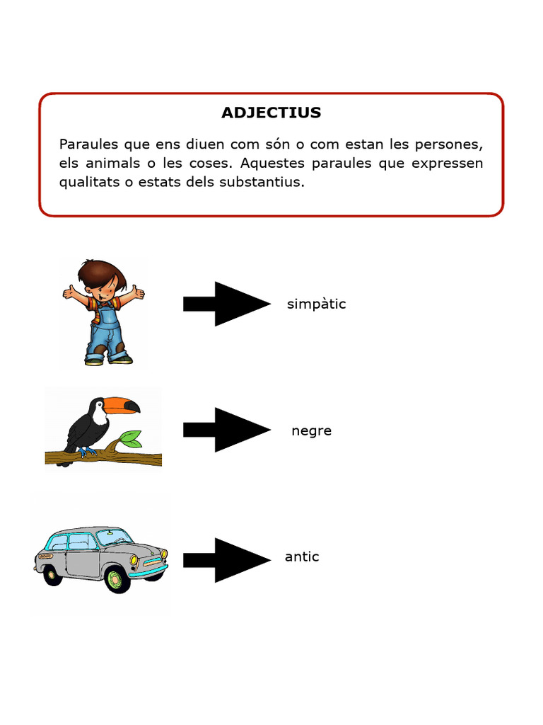 ADJECTIUS 1r-2n de primaria catala | PDF