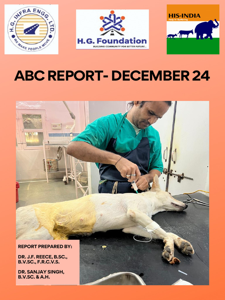 ABC-Dec-Report-HG Foundation | PDF