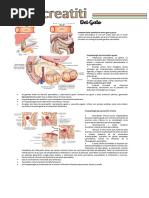 Triaditis Felina | PDF | Inflamación | Páncreas