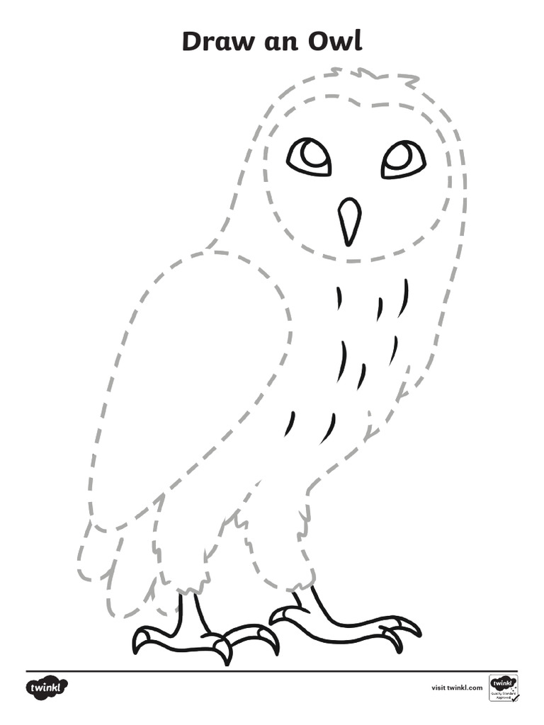 Draw An Owl Pencil Control Activity | PDF