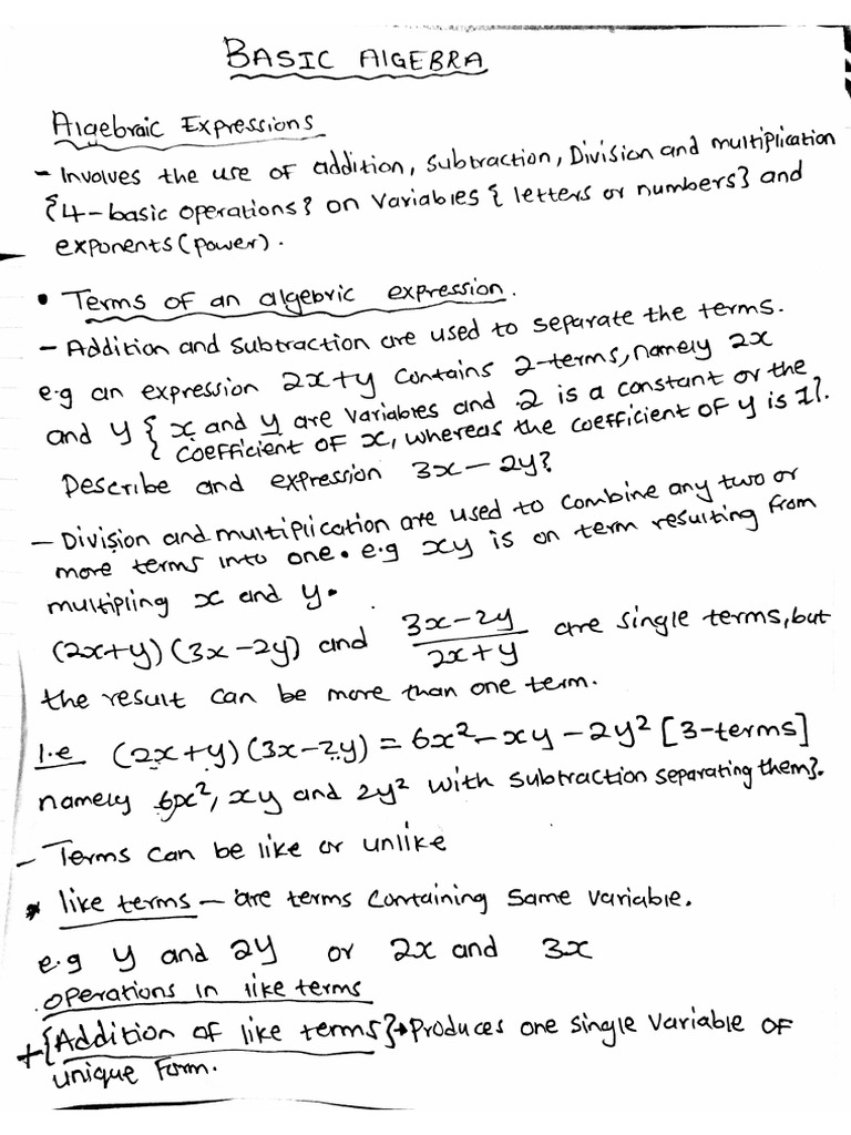Basic Algebraic Expressions | PDF