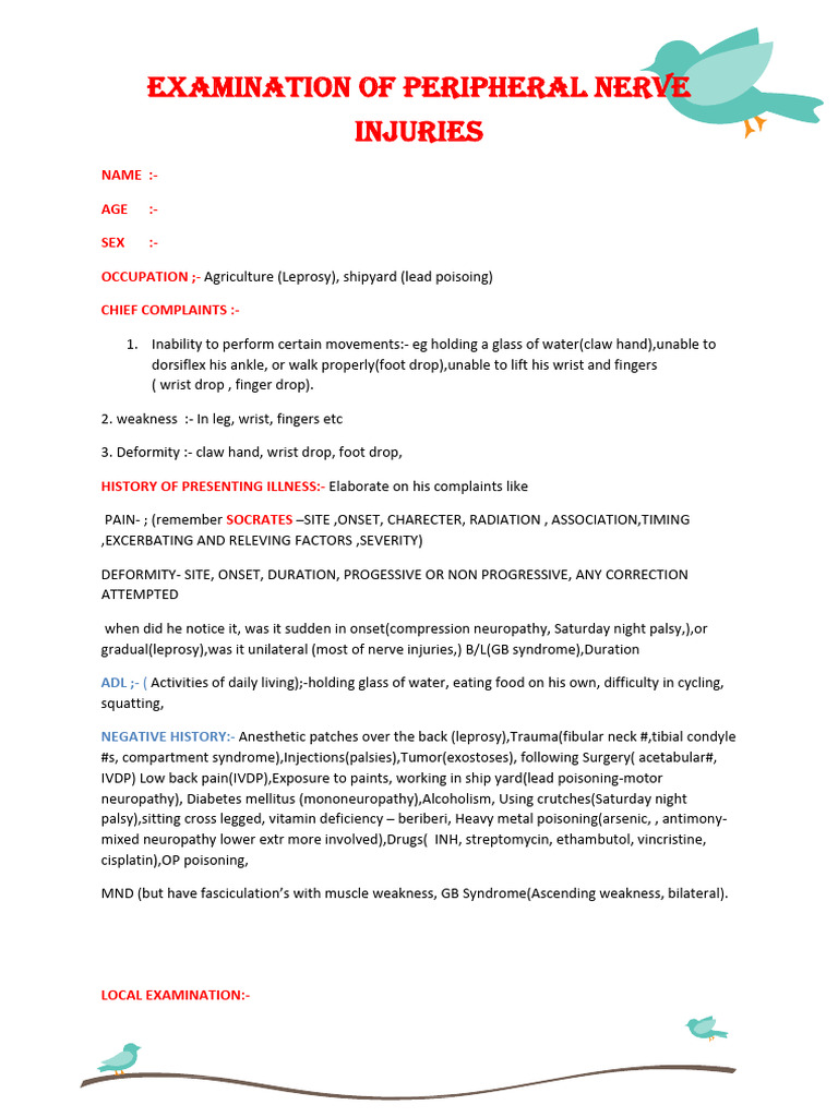 Examination of Peripheral Nerve Injuries | PDF | Anatomical Terms Of ...
