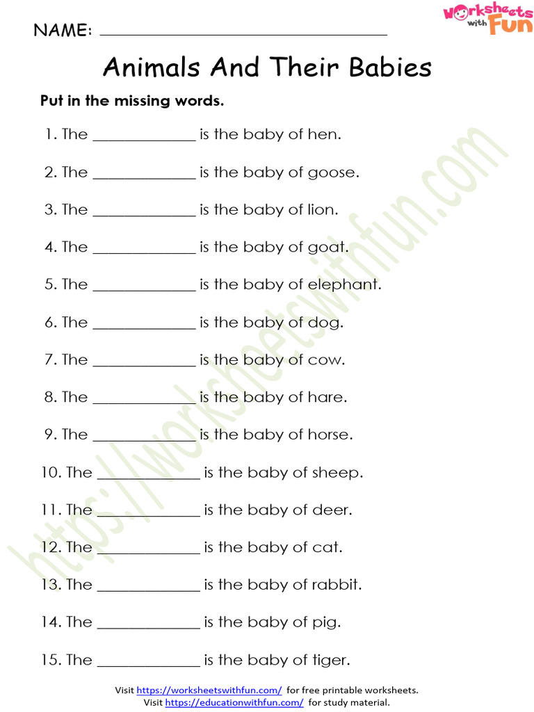 Animals and Their Babies Worksheet | PDF