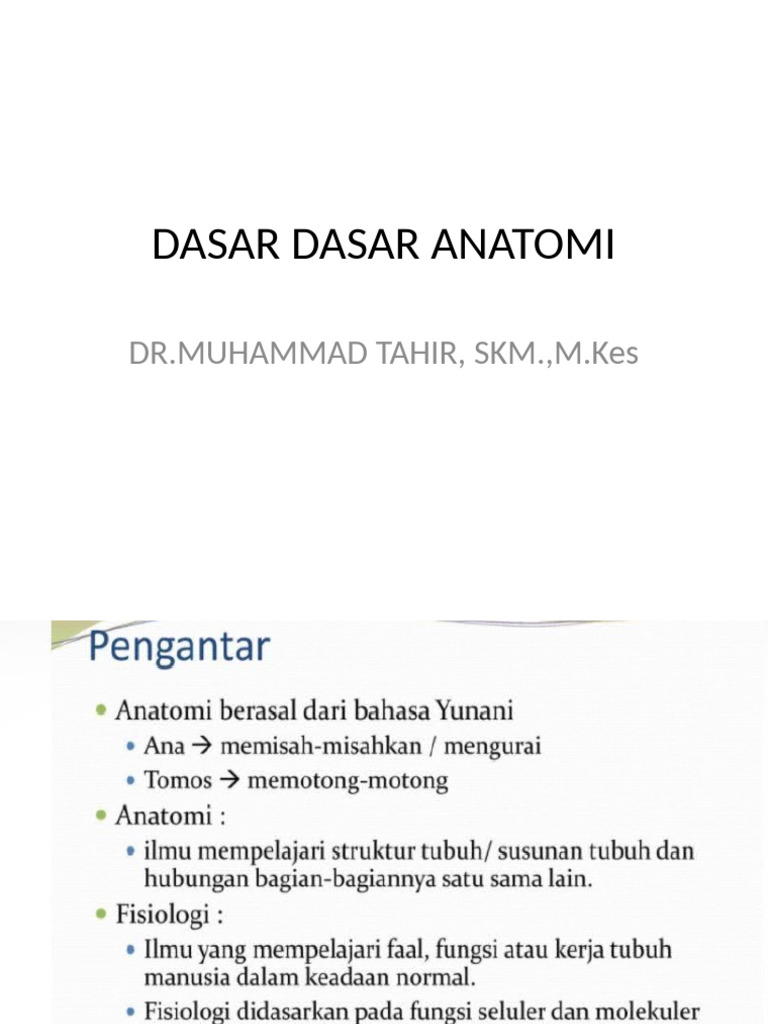 1. DASAR DASAR ANATOMI | PDF