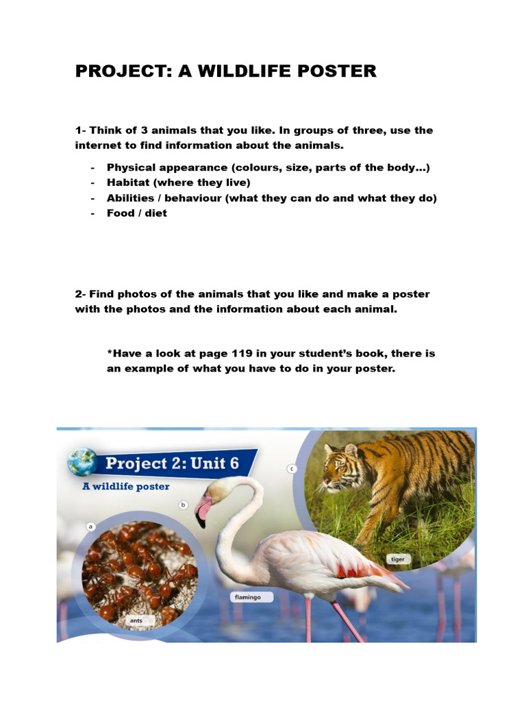 Create a Wildlife Poster Guide | PDF