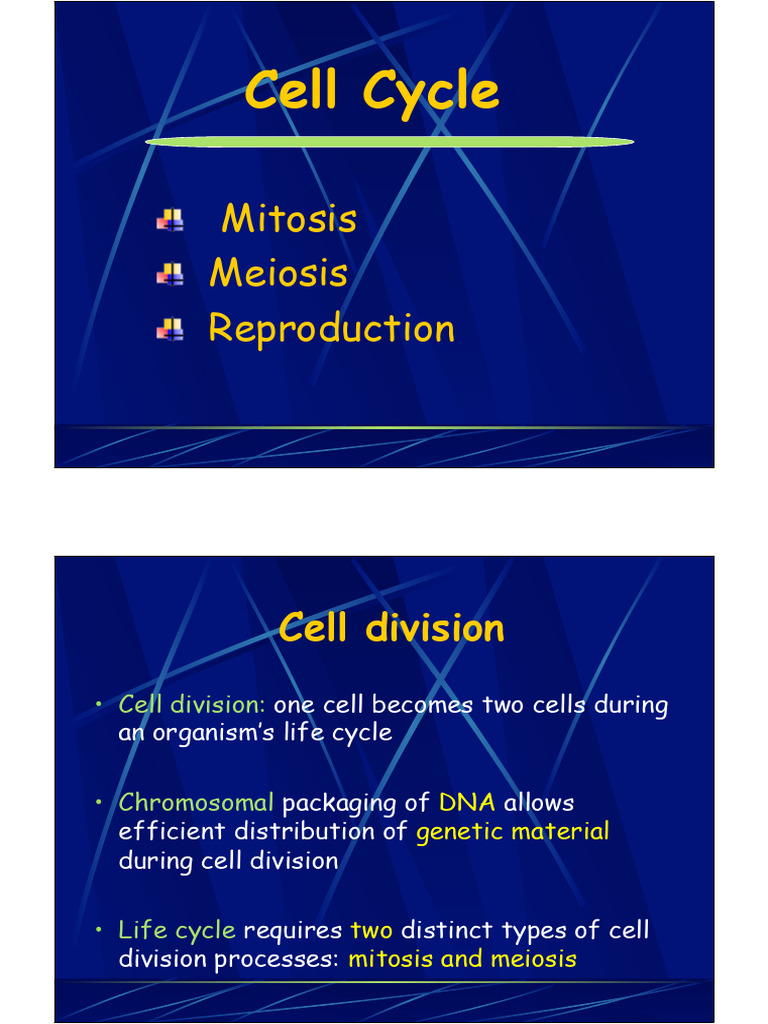 Cell Division: Mitosis and Meiosis Explained | PDF | Meiosis | Mitosis