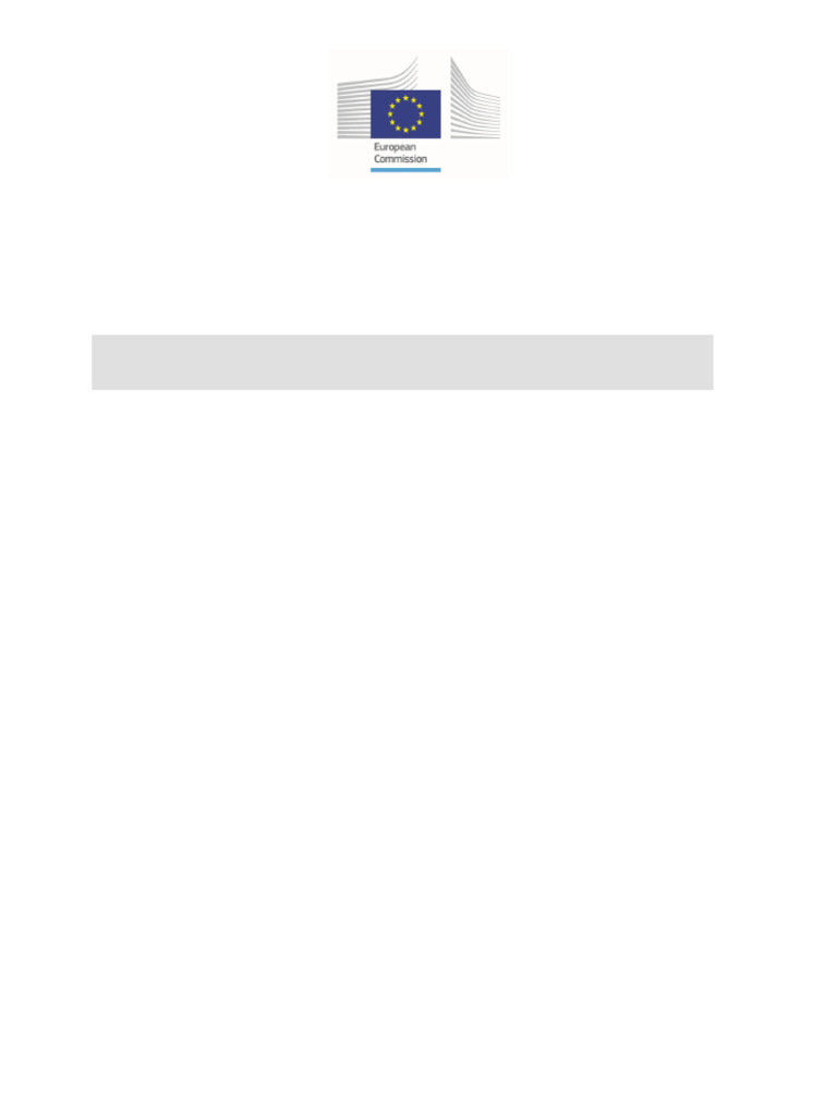 EC-2025-DIGIT-401804 Annex | PDF