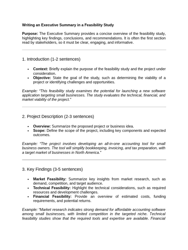 EXECUTIVE-SUMMARY | PDF | Feasibility Study | Risk